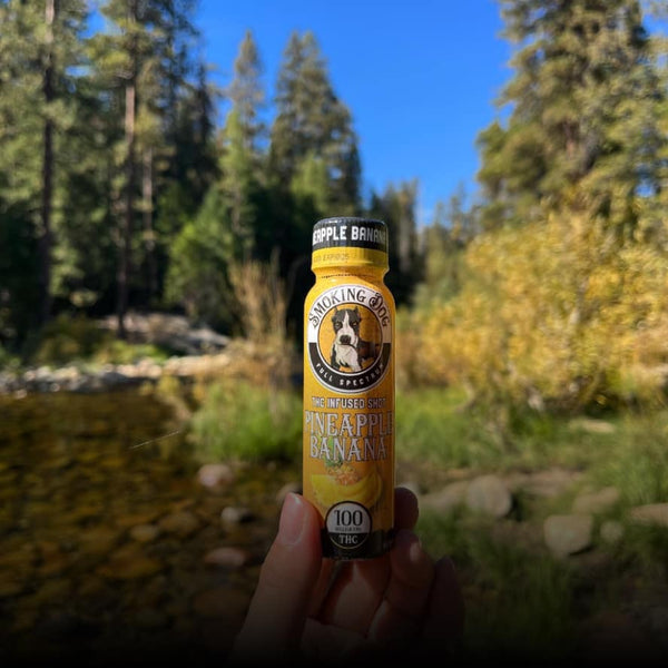 Seltzer – Smoking Dog